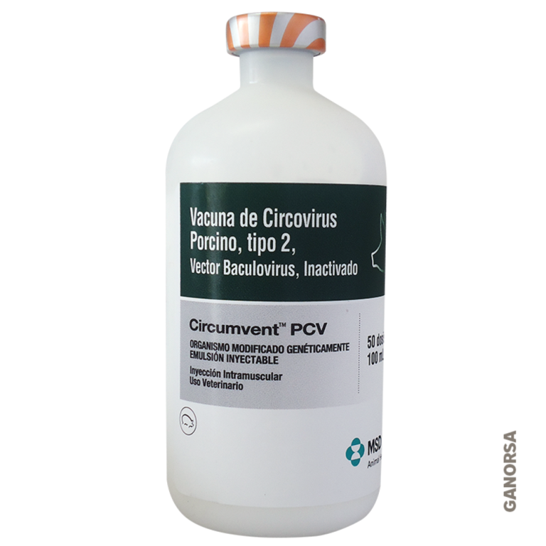 CIRCUMVENT PCV X 100 ML (50 DOSIS) – Ganorsa